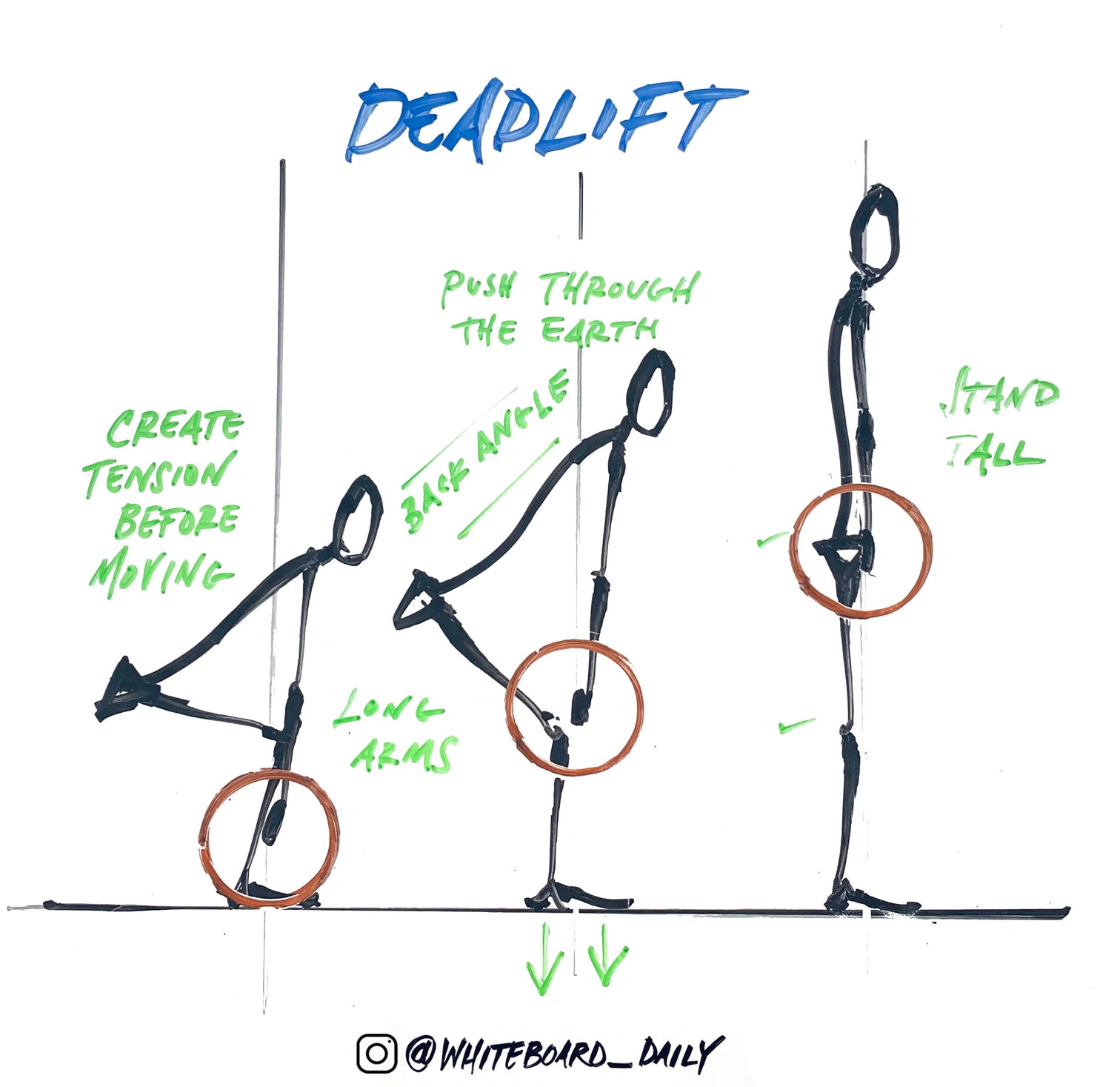 Digital Sketch: Deadlift Movement Sequence – Whiteboard Daily