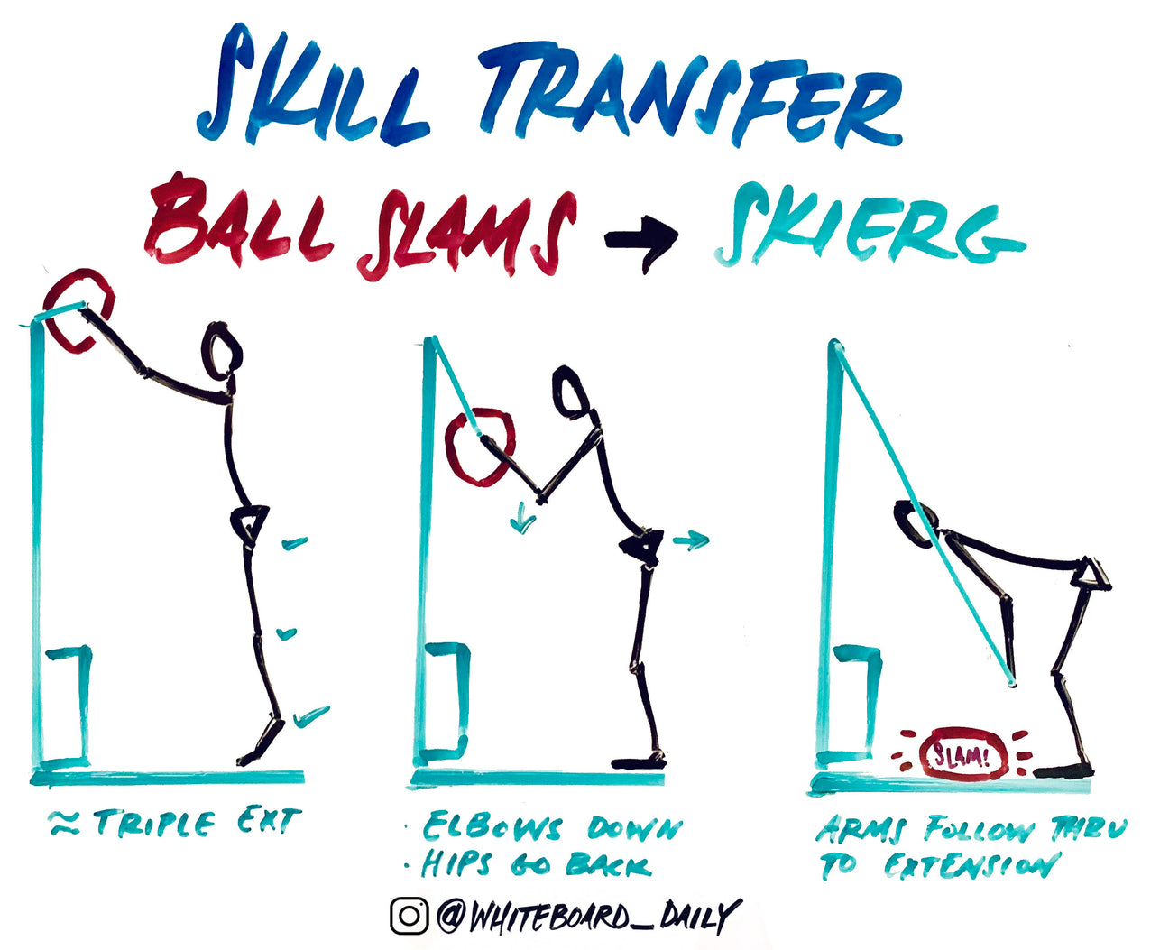 Digital Sketch: Skill Transfer: Ball Slam - Ski Erg – Whiteboard Daily