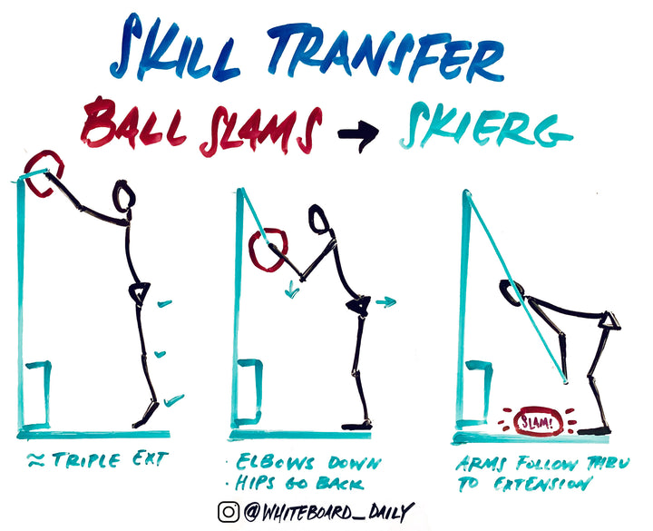 Digital Sketch: Skill Transfer: Ball Slam - Ski Erg – Whiteboard Daily