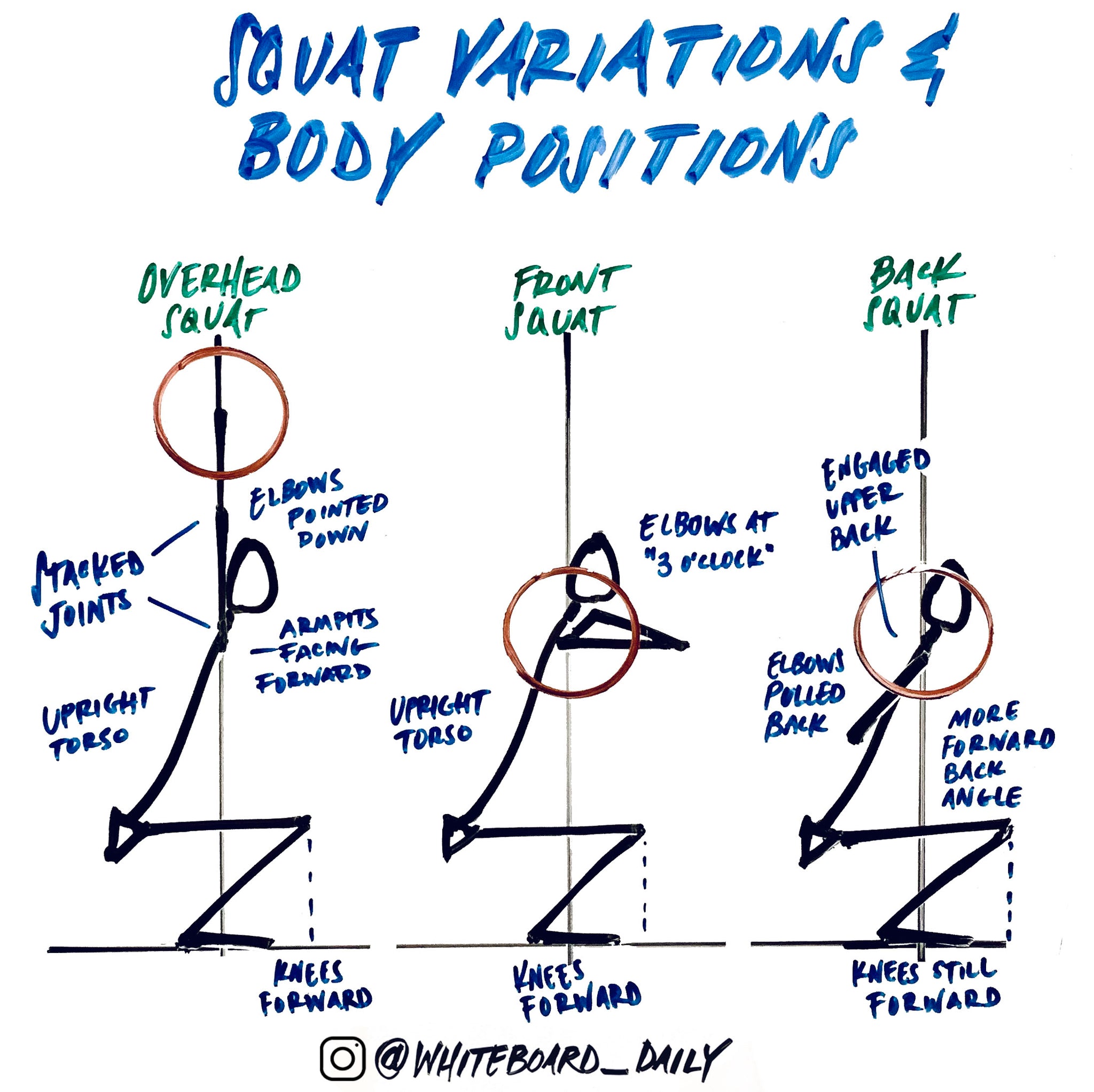 Digital Sketch: Squat Variations and Body Positions – Whiteboard Daily