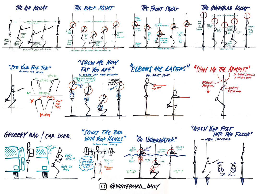 Digital Poster: "Squat Cues" - Full Color – Whiteboard Daily